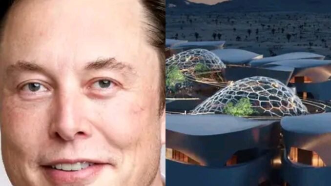 World Richest Man, Elon Musk's Hotel On Mars Is Ready, Set To Go For ...