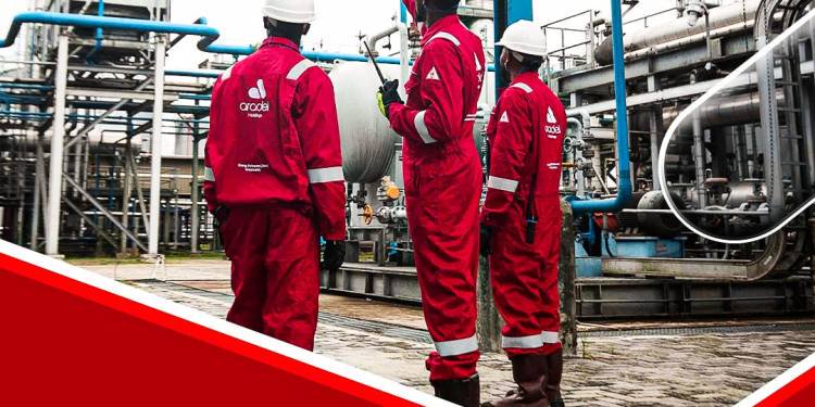 Aradel, Afriland Properties Lift NASD Exchange by 0.60% - Valuechain